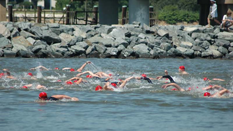 1,000 To Swim Across The Bay on Sunday in The Great Chesapeake Bay Swim ...