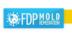 Annapolis-Based FDP Mold Remediation Launches Standardized Tiers For ...
